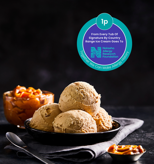 Signature by Country Range Salted Caramel Dairy Ice Cream 6 x 4 ltr ...